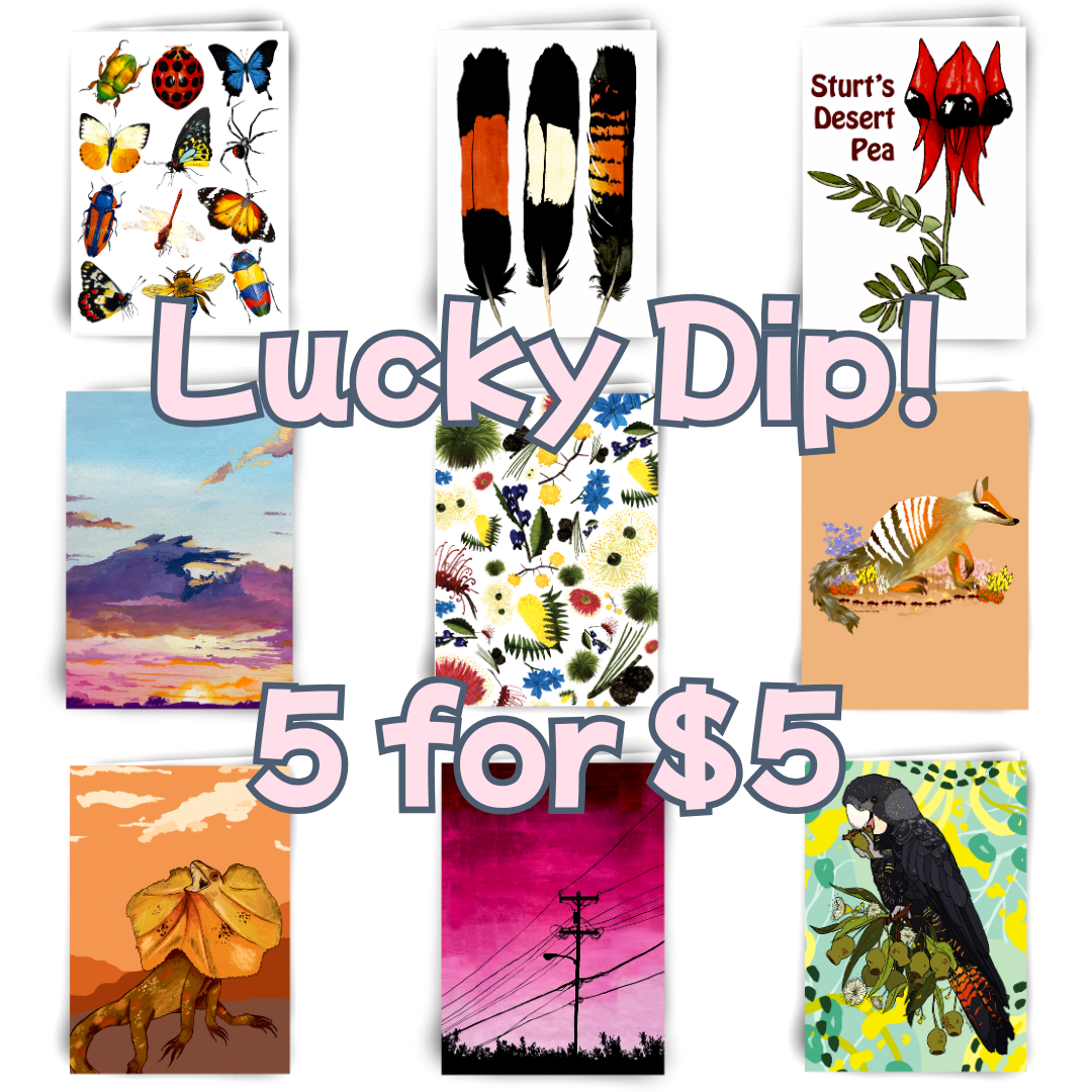 Lucky Dip Cards - 5 Pack – Chicken Pants Studio