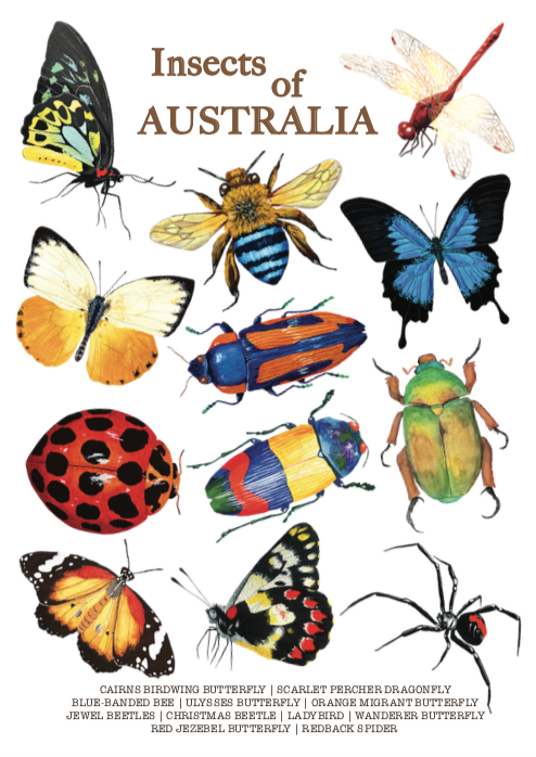 Insects A4 Print – Chicken Pants Studio