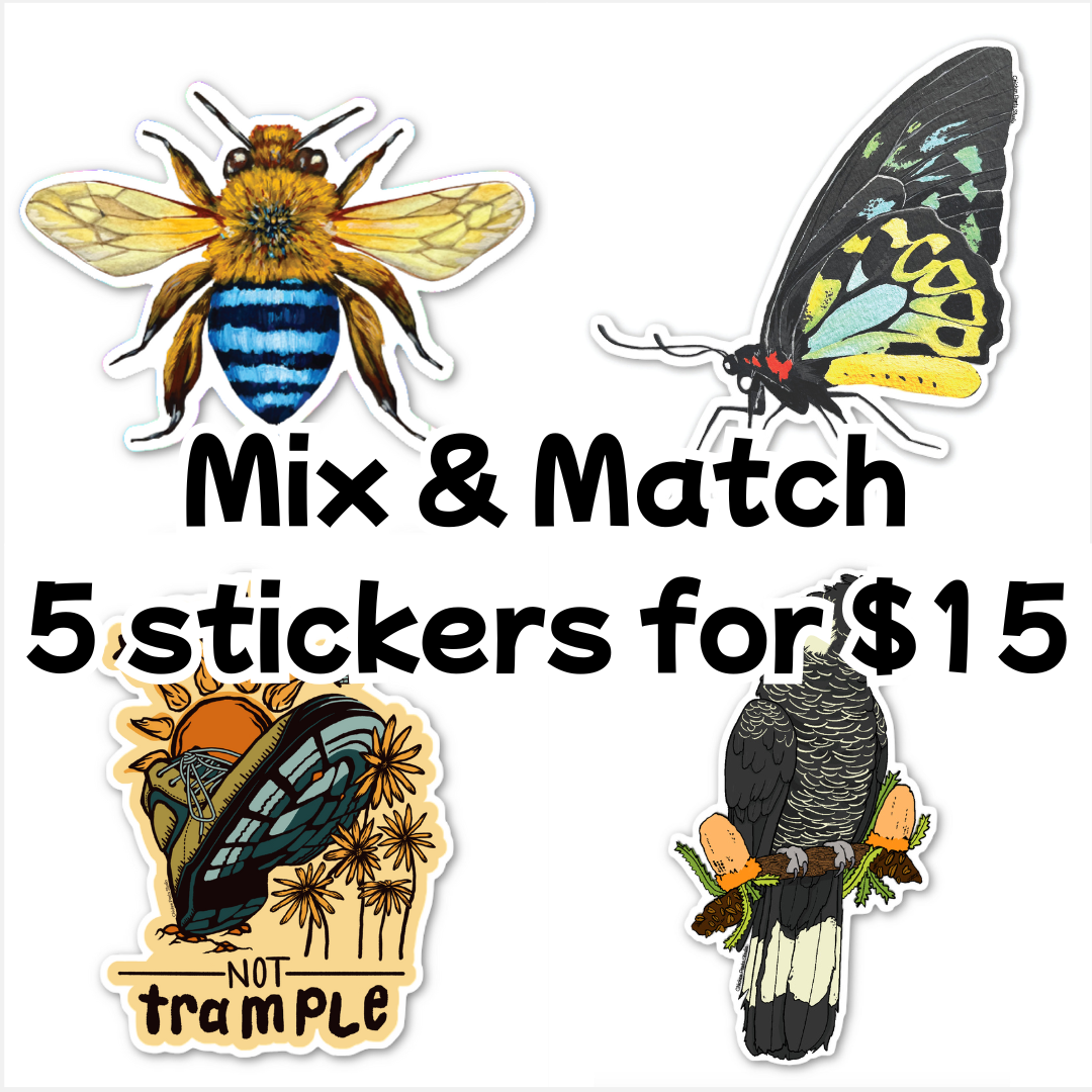Mix & Match - 5 Sticker Combo – Chicken Pants Studio