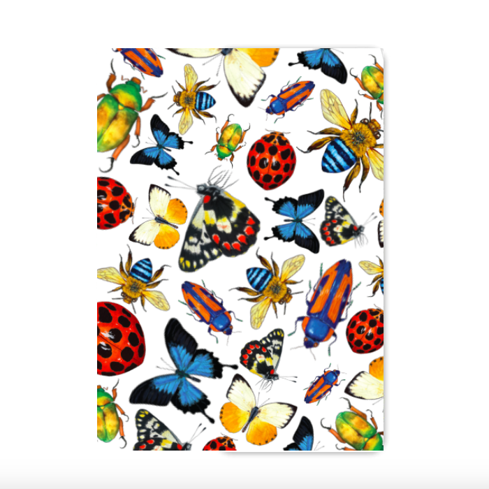 Sketchbook: Insect – Chicken Pants Studio