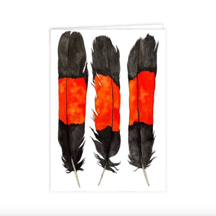 Card: Male RTBC Feathers – Chicken Pants Studio